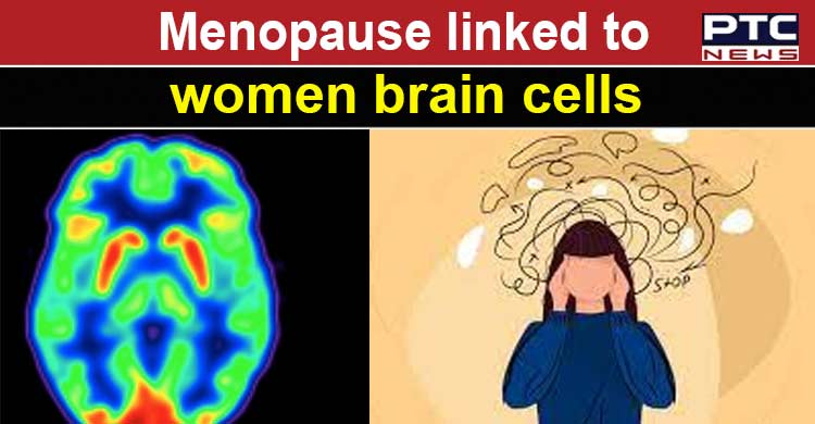 Study reveals women brain alters more after menopause | Health and ...