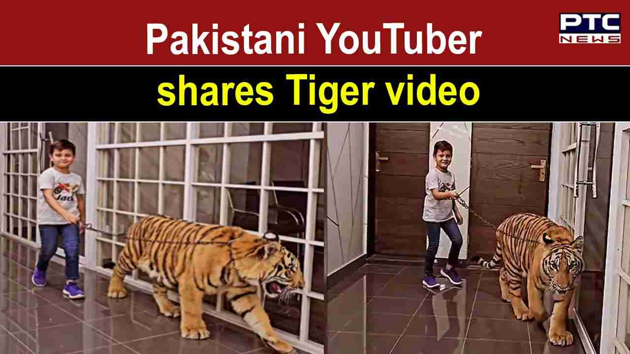 Pakistani YouTuber sparks internet outrage with video of child walking ...